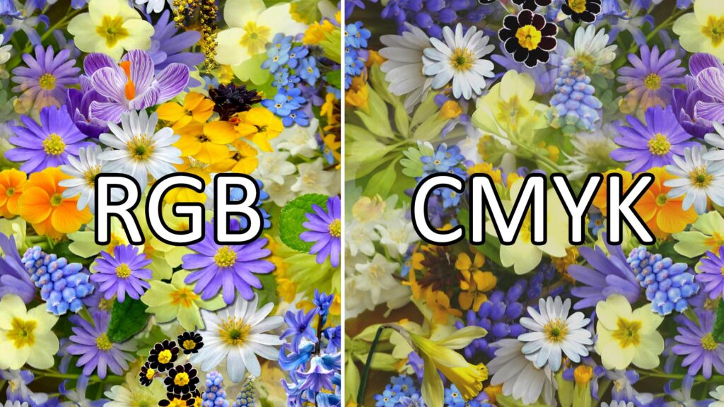 RGB vs CMYK Colors: Print vs Digital Color Comparison – fotoshop.in
