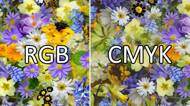 RGB vs CMYK Colors: Print vs Digital Color Comparison – fotoshop.in